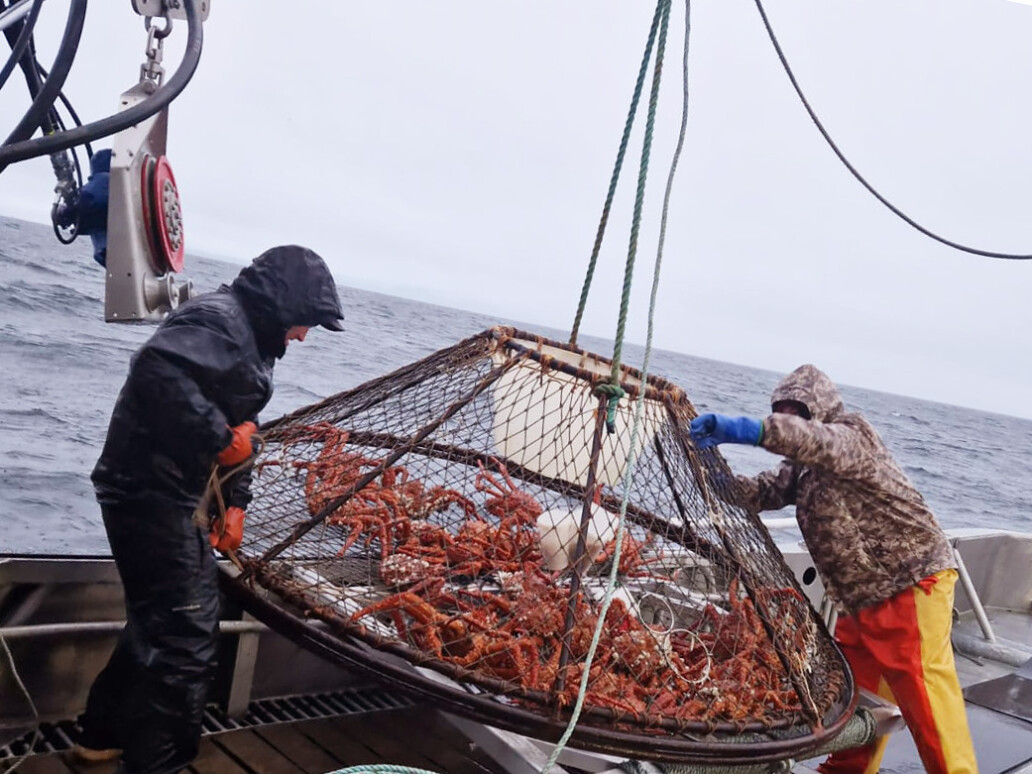 Pot Haulers – Mustad Autoline